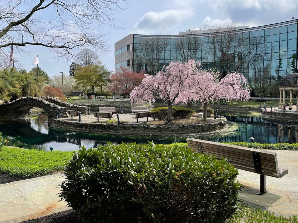 DSAEK Surgery - What Is It And How Does It Work?